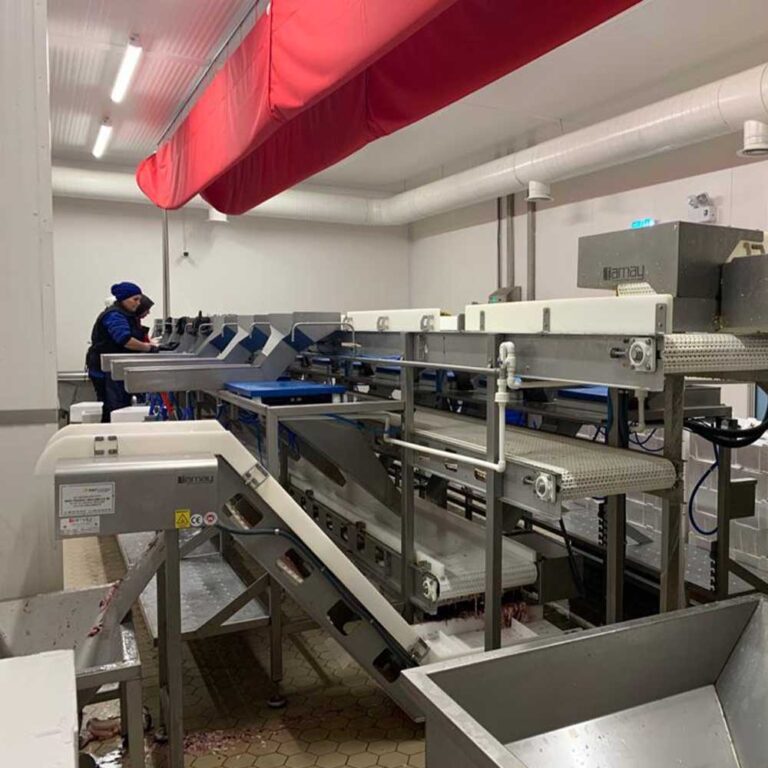 Manual Filleting Line - Tamaysan